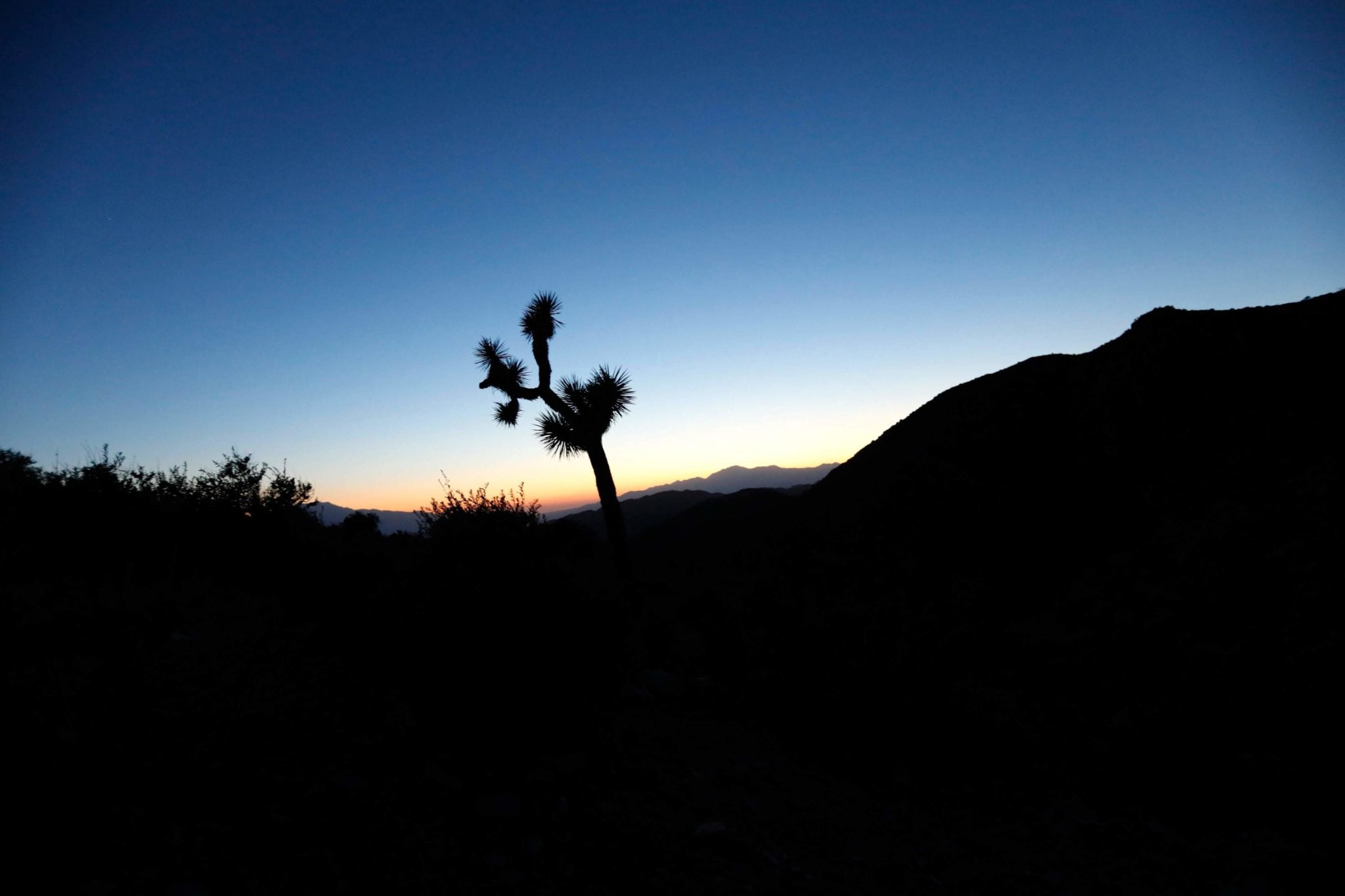 What Time is Sunrise and Sunset in Joshua Tree National Park?